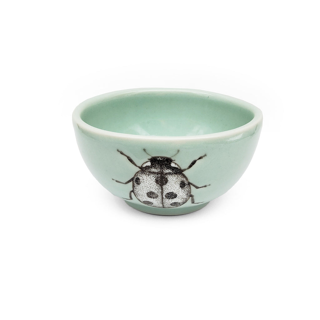 Lady Bug Ceramic Bowl – Handwork Ithaca's Artist Cooperative