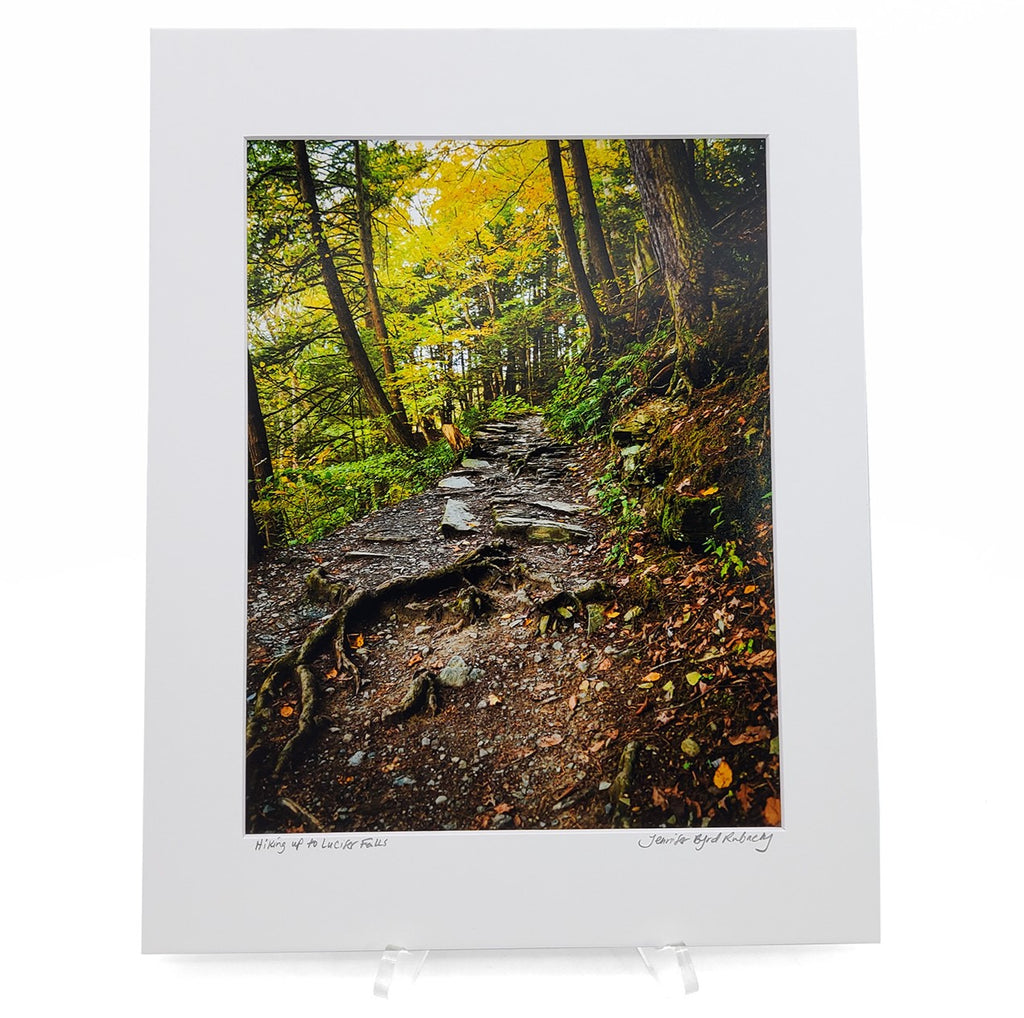 "Rim Trail To Lucifer Falls" Print – Handwork Ithaca's Artist Cooperative