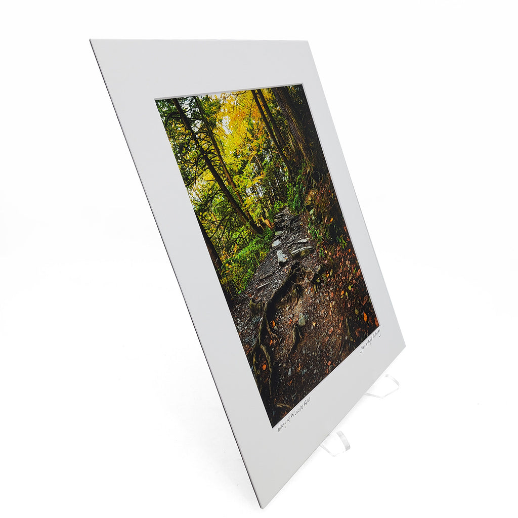 "Rim Trail To Lucifer Falls" Print – Handwork Ithaca's Artist Cooperative