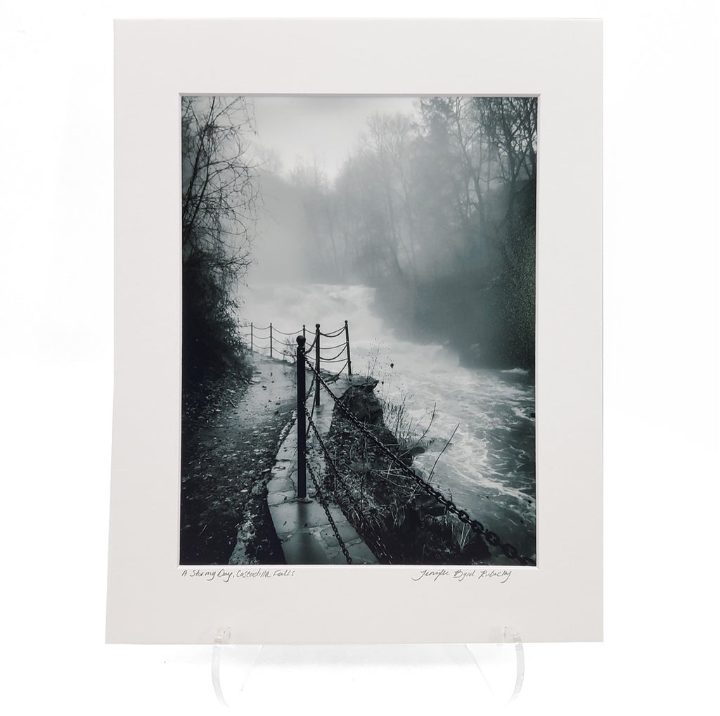 "A Stormy Day At Cascadilla Falls" Print – Handwork Ithaca's Artist ...